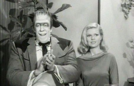 Picture of Nina Shipman