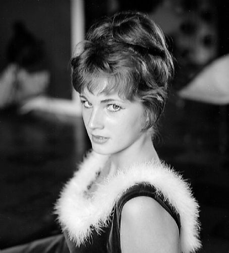 Picture of Willi Koopman