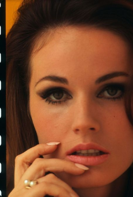 Picture of Willi Koopman