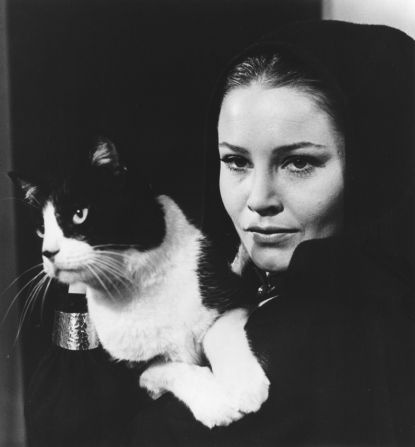 Picture of Katie Saylor