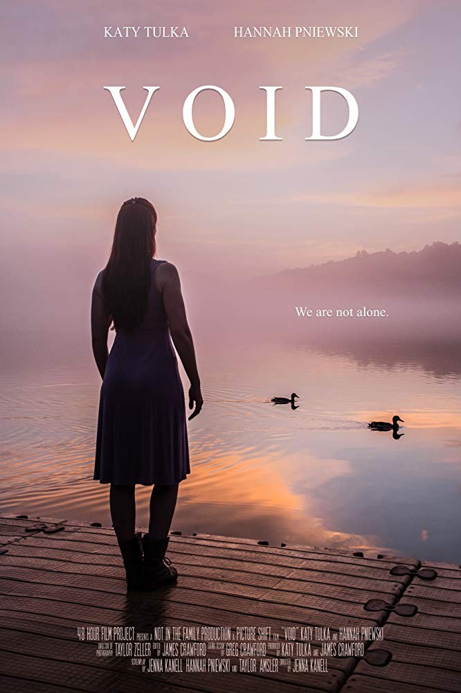 Picture of Void (2015)