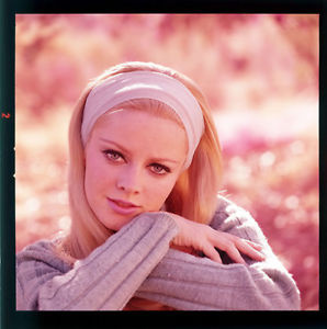 Picture of Anne Randall