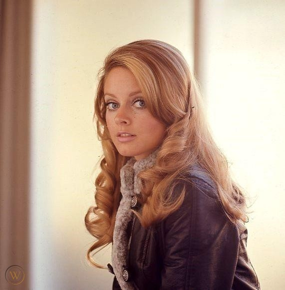 Picture of Anne Randall