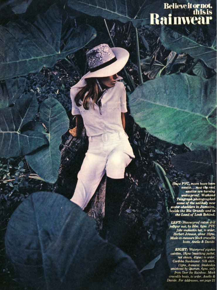 Picture of Jane Lumb