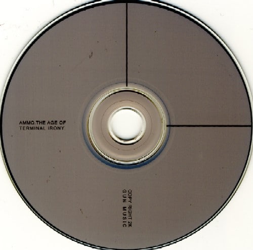 Picture of The Age of Terminal Irony