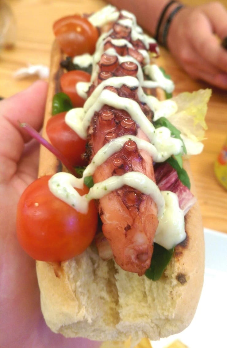 Picture of Octopus Dog