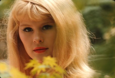 Image of Margaret Teele