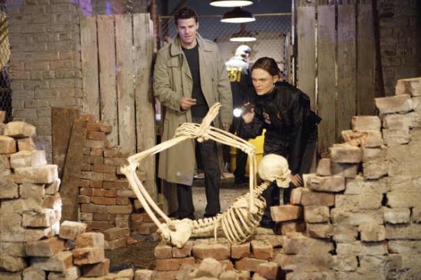 Picture of Bones