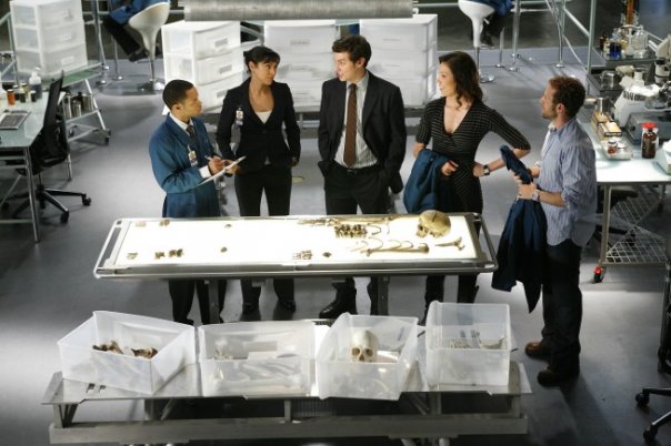 Picture of Bones