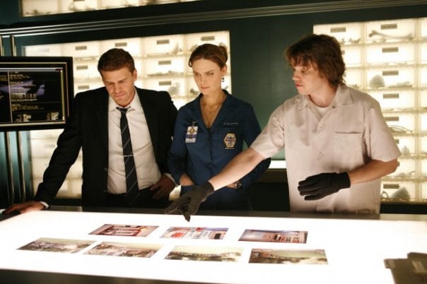 Picture of Bones