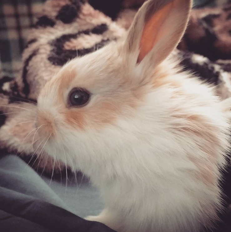 Picture of Daniela Azuaje