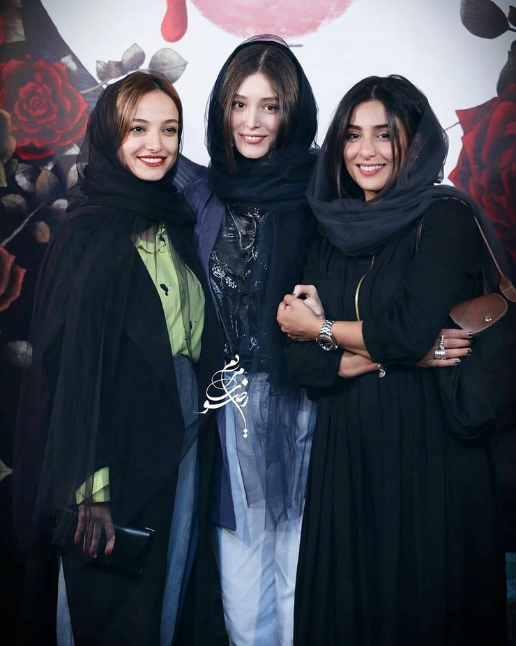 Fereshte Hosseini picture