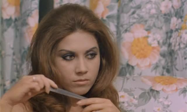 Picture of Ivana Novak