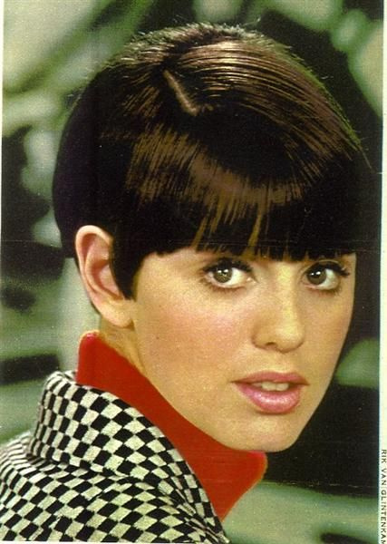 Picture of Diane Conlon