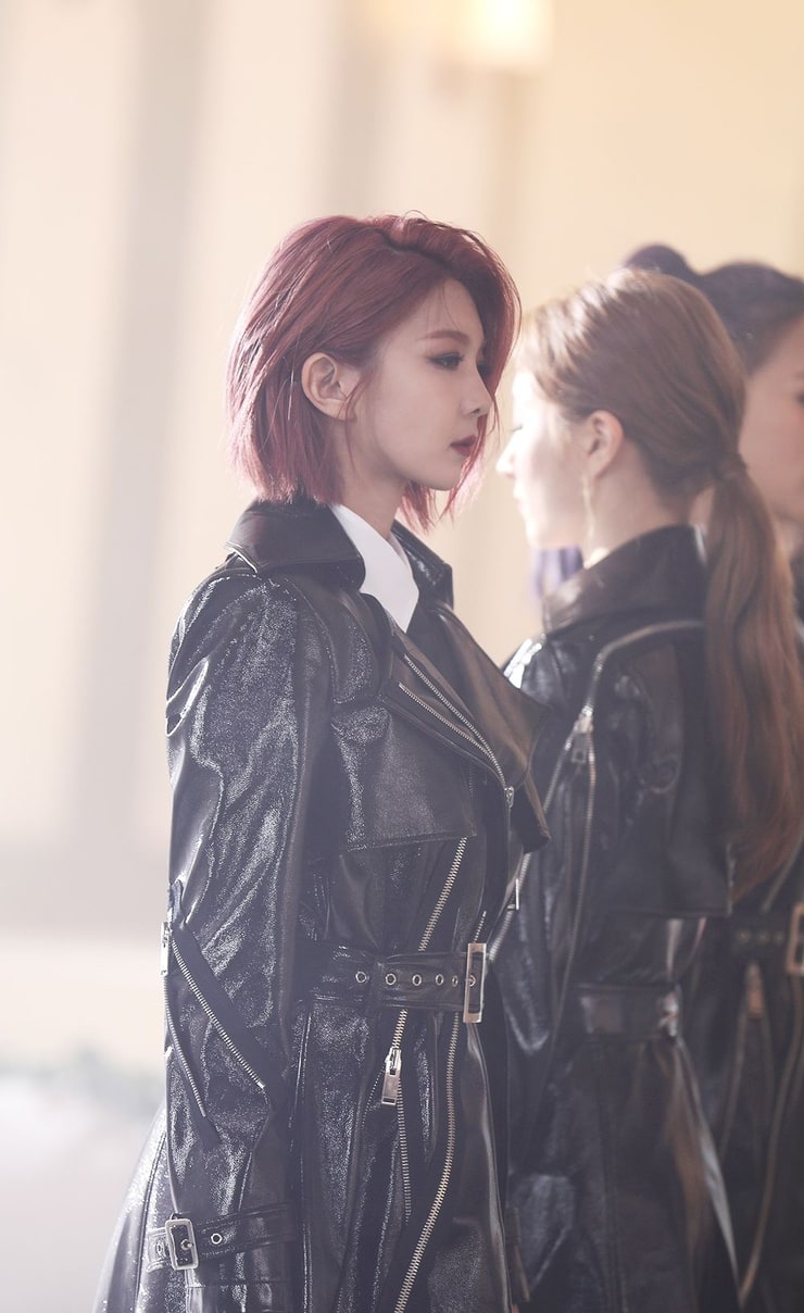 Picture of Dami