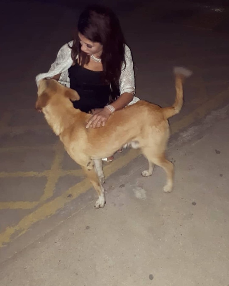 Picture of Mireille Azer