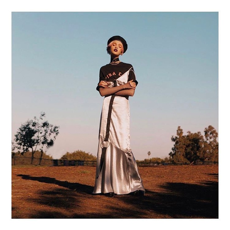 Picture of Jesse Stewart