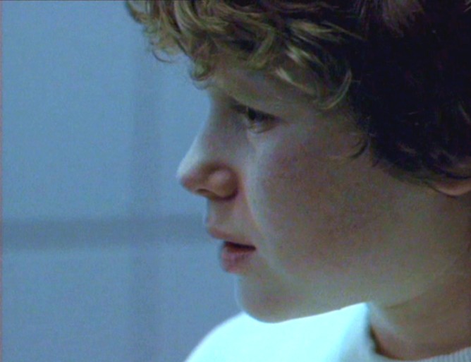 Picture of The Interrogation of Michael Crowe (2002)