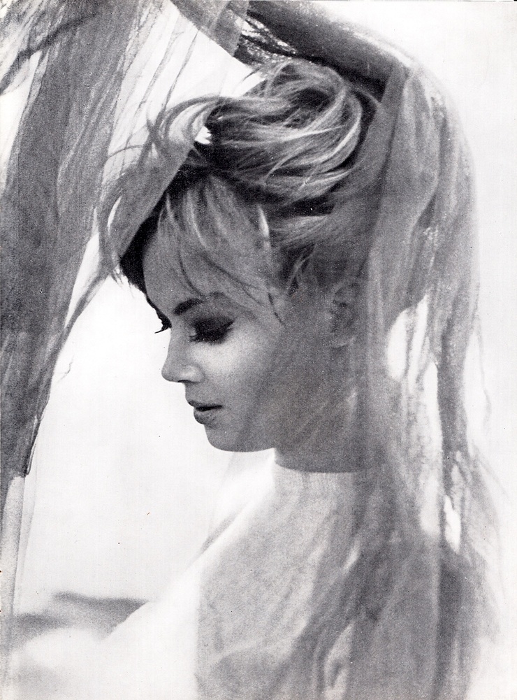 Picture of Edy Vessel