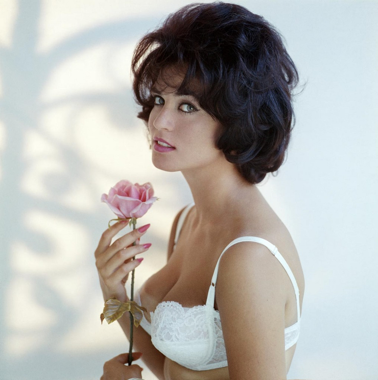 Image of Heidi Becker