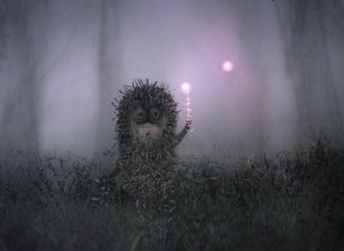 Picture of Hedgehog in the Fog
