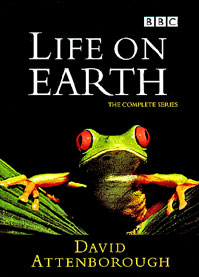 Picture of Life on Earth