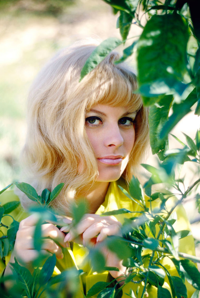 Reagan Wilson picture