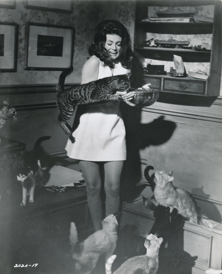 Gayle Hunnicutt image