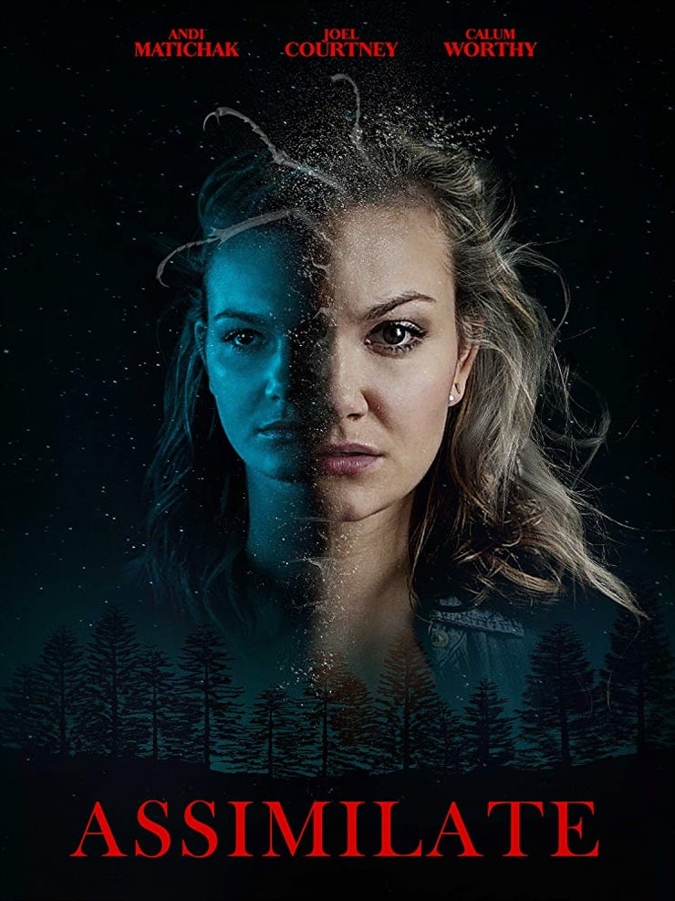 Picture of Assimilate