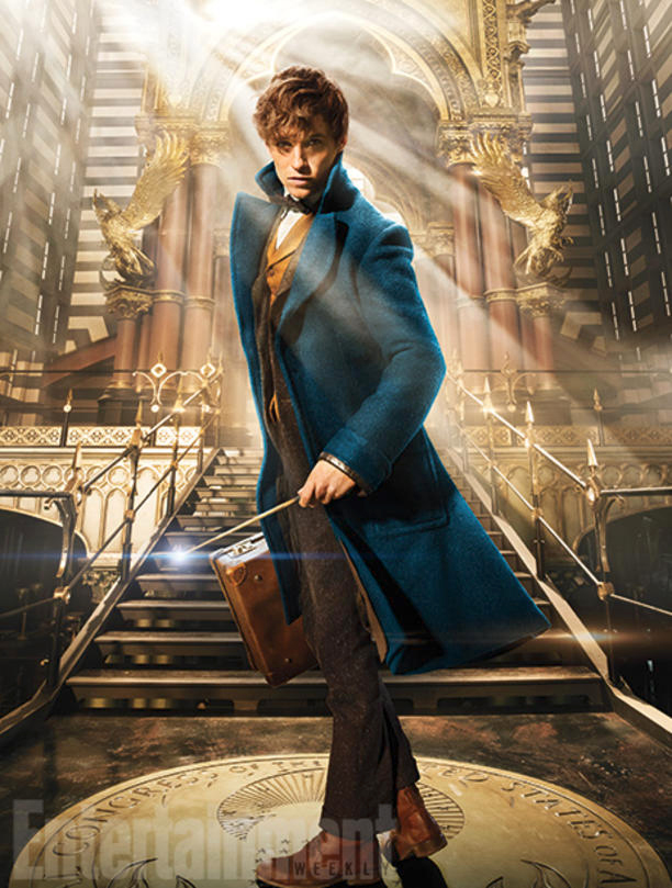 Picture of Newt Scamander