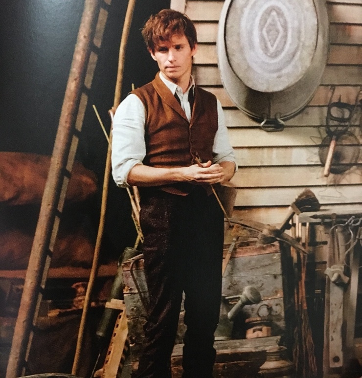 Picture of Newt Scamander