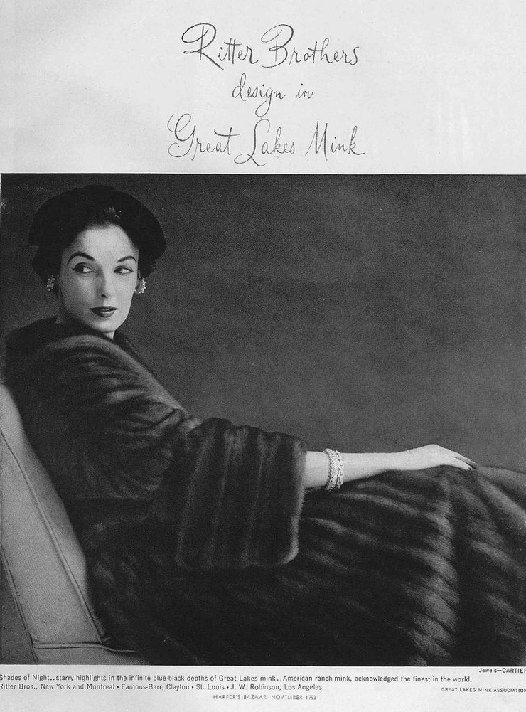Picture of Elise Daniels