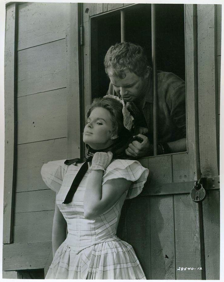 Sara Lane, Tim McIntire