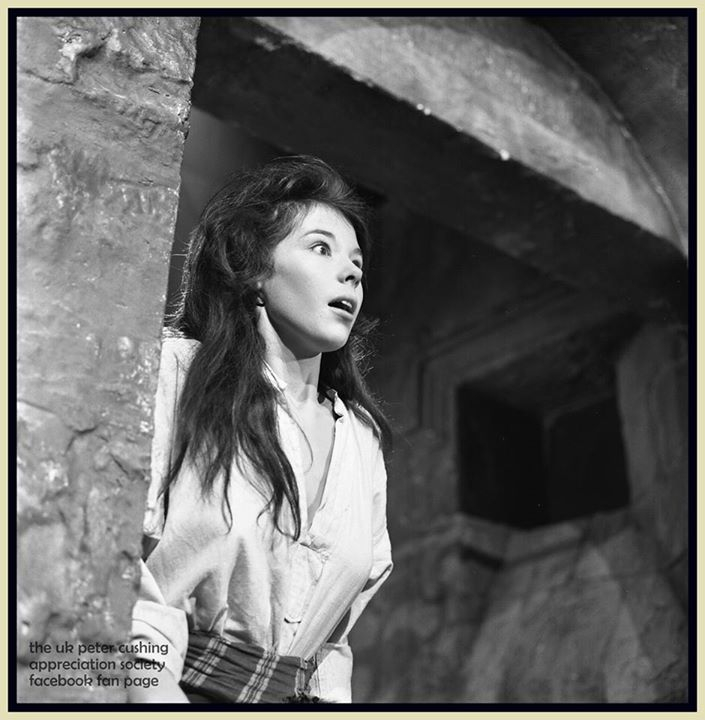 Picture of Katy Wild