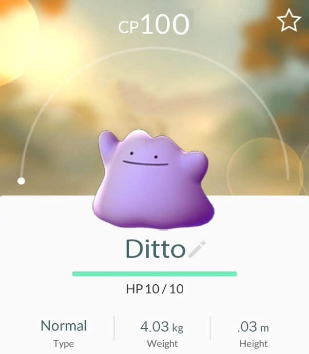Picture of Ditto