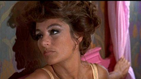 Picture of Model Shop