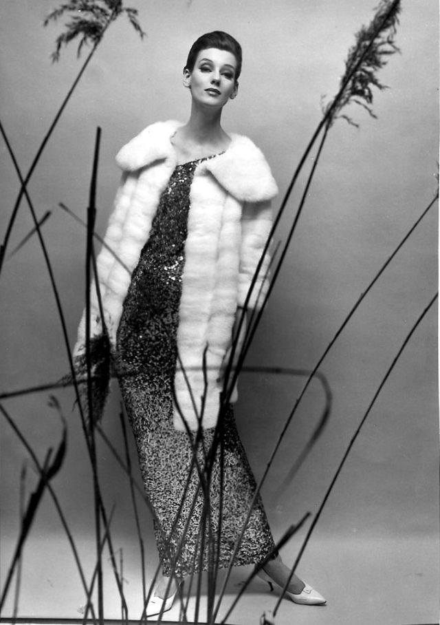 Picture of Judy Dent