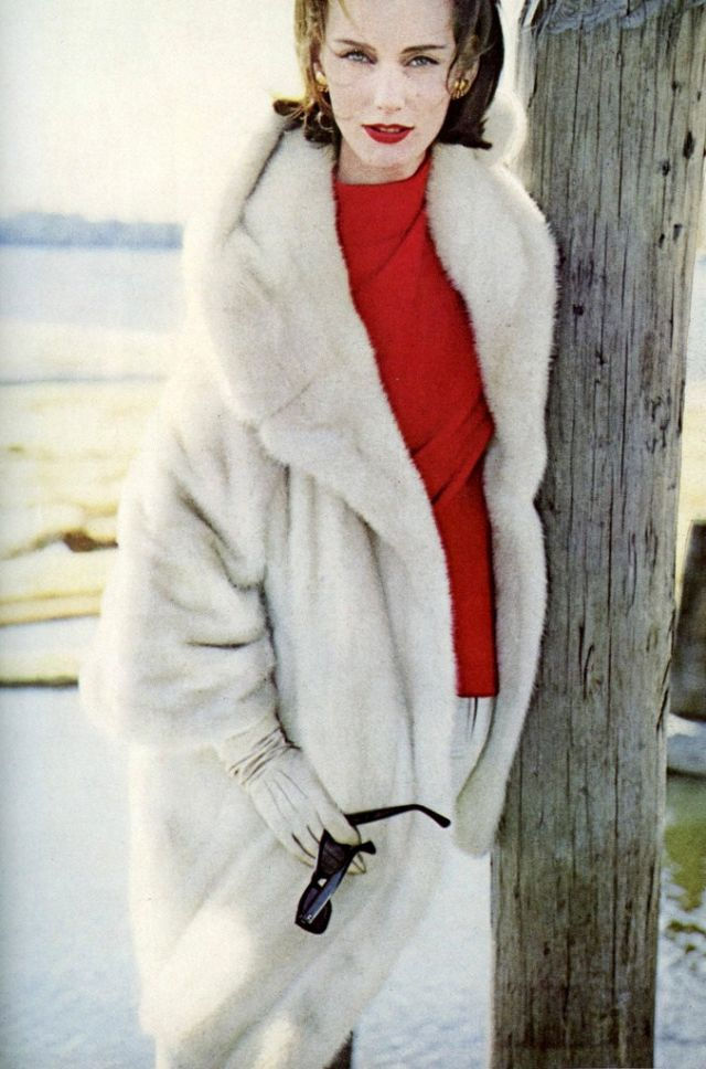 Picture of Judy Dent