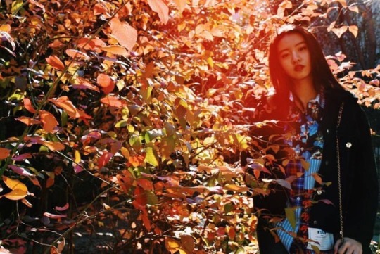 Picture of Koki Kimura