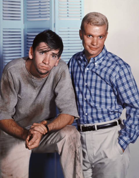 Bob Denver, Dwayne Hickman