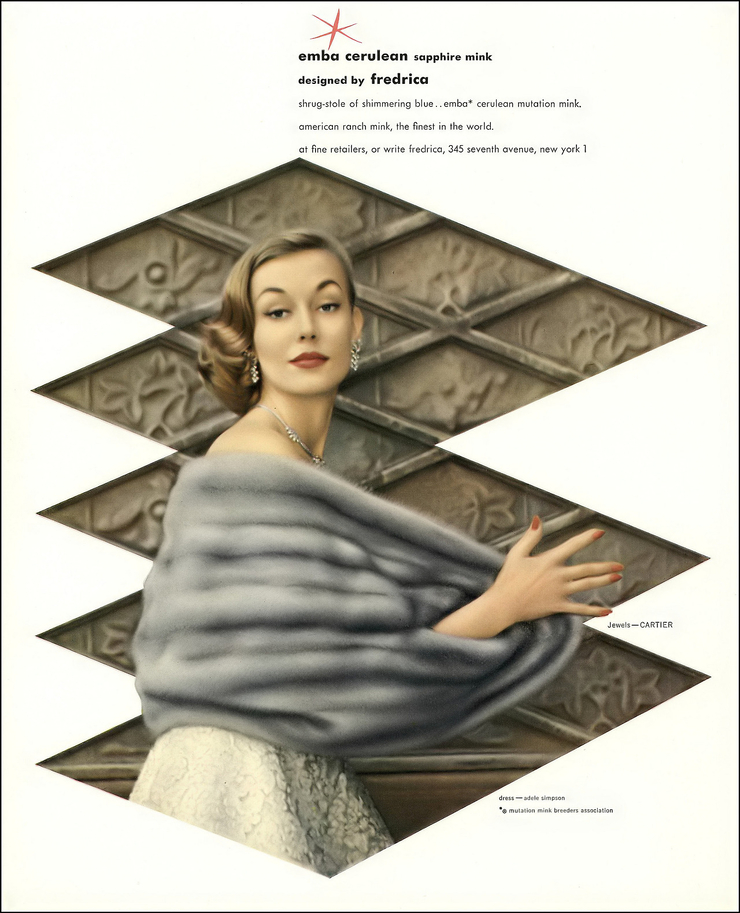 Picture of Liz Pringle