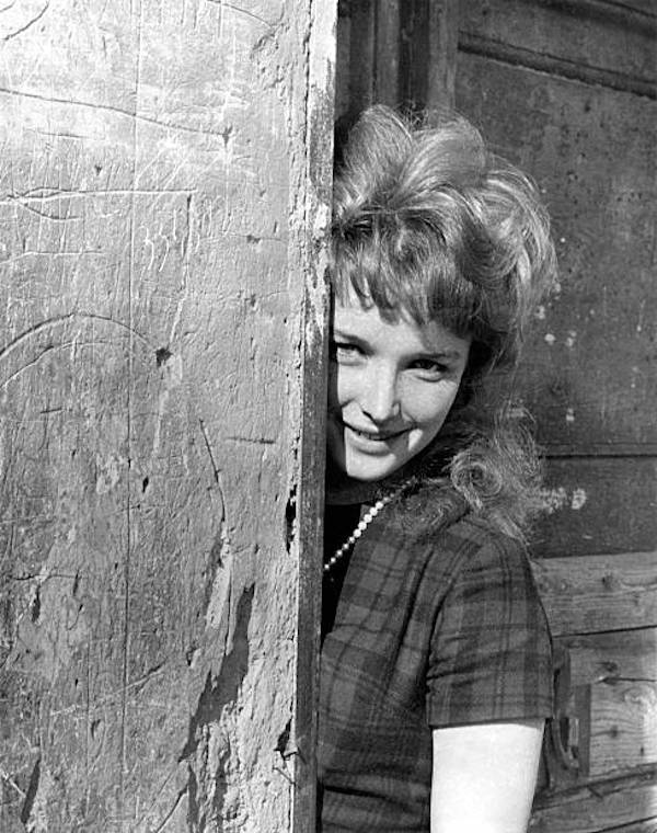 Picture of Aba Cercato