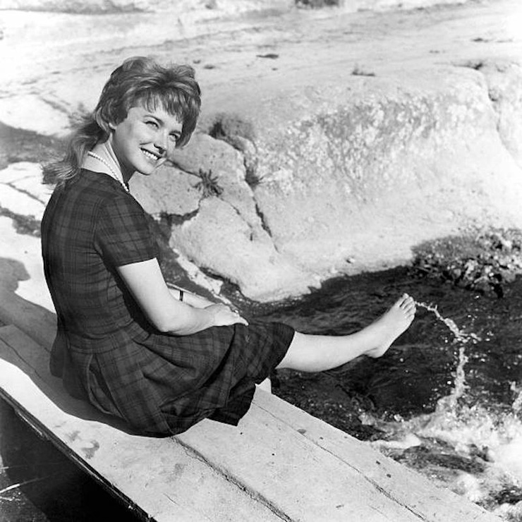 Picture of Aba Cercato