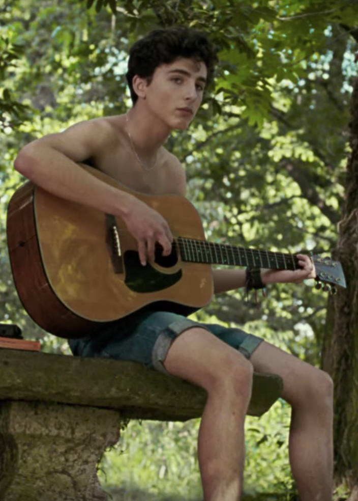 Elio Perlman picture