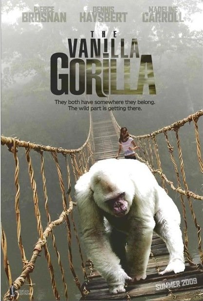 Vanilla Gorilla image