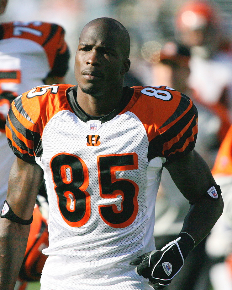 Chad Johnson image