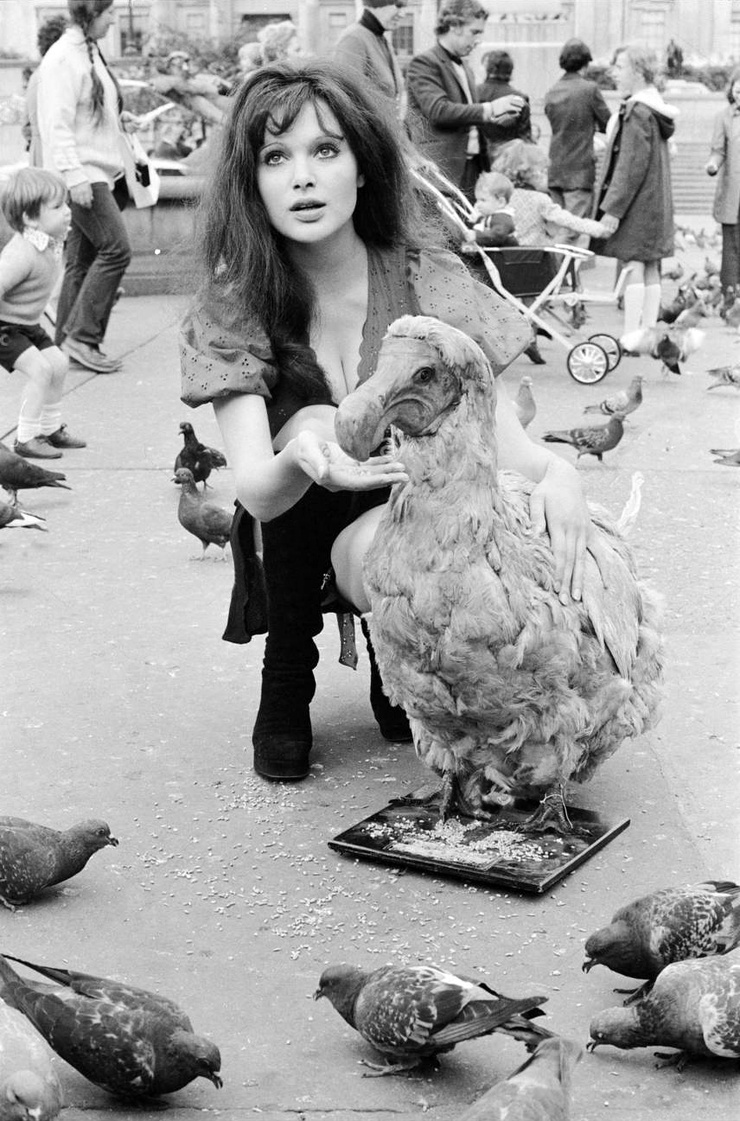 Picture of Madeline Smith