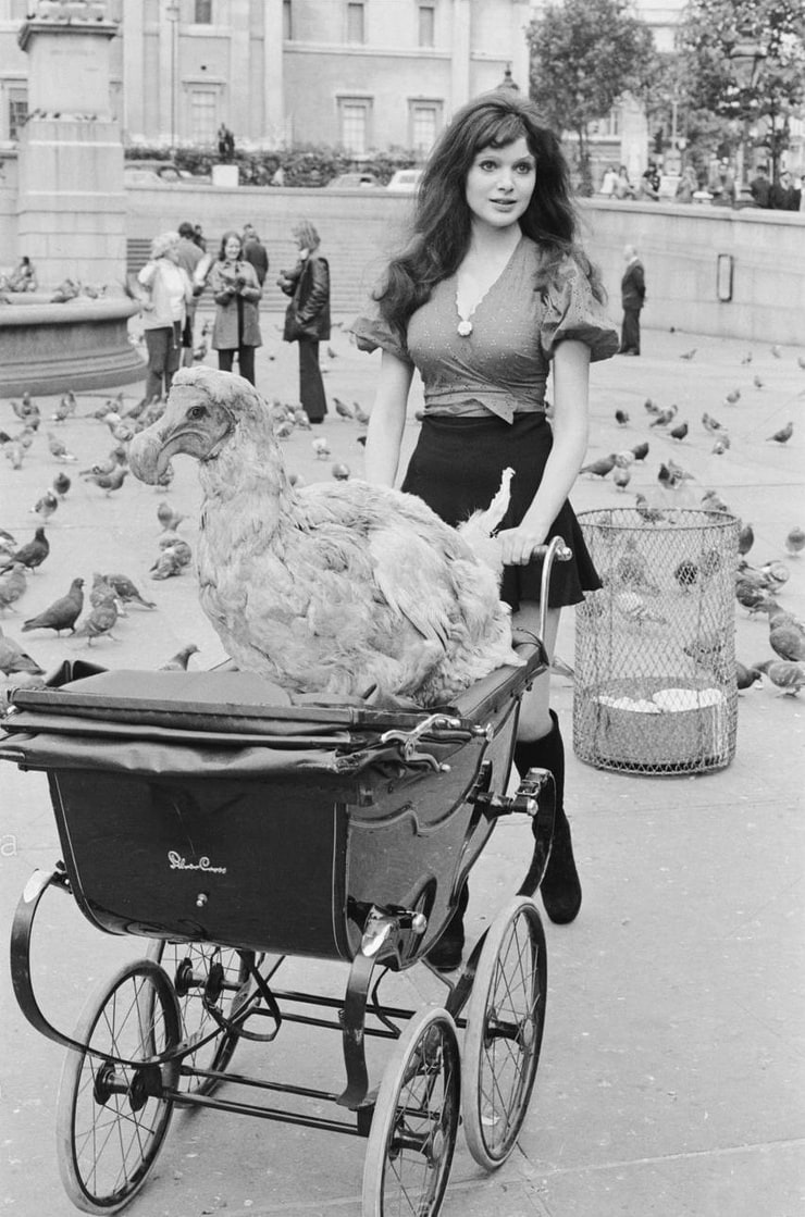 Madeline Smith image