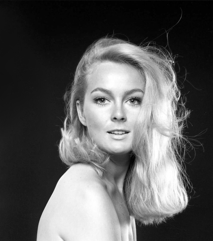 Picture of Venita Wolf