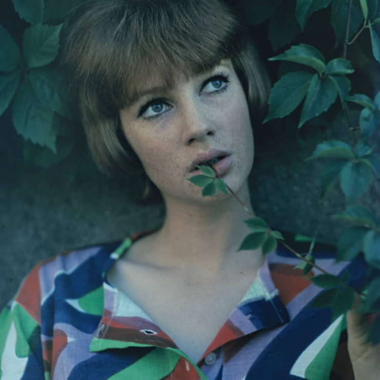 Picture of Carla Gravina